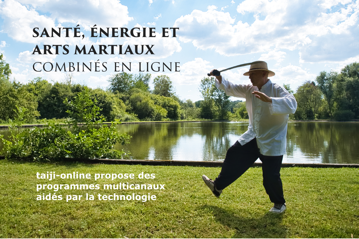 Cours de taiji quan en ligne | tai chi | taiji-online.com